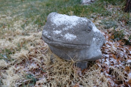 Don’t take it for granite, Joe – Mad Blog Media
