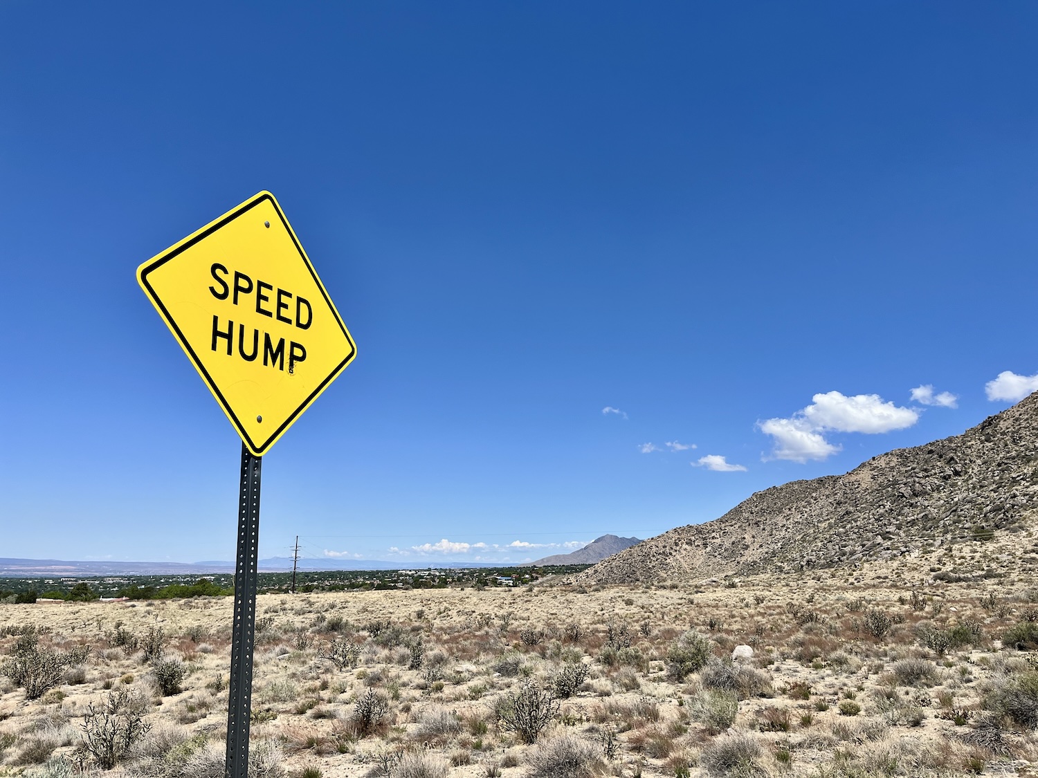 Cowabunga! – Mad Blog Media