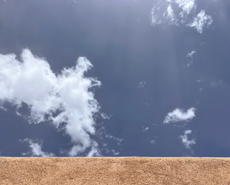 Oh, eat me – Mad Blog Media